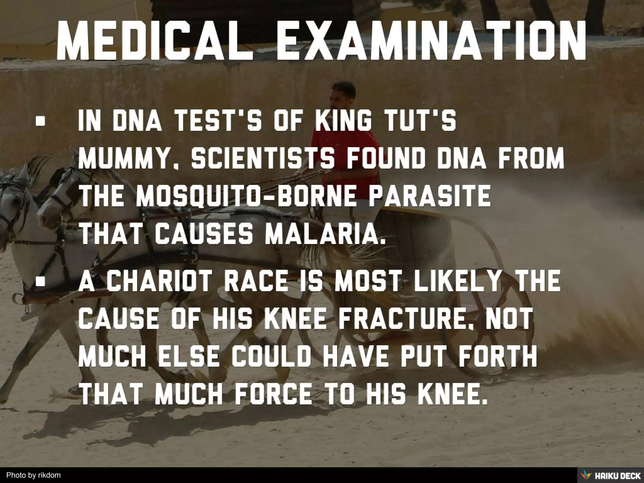 Who Killed King Tut? | PDF