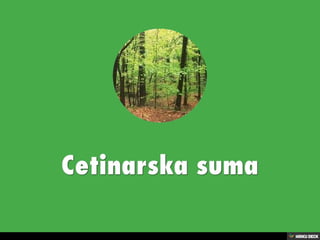 Sumski ekosistem | PPT