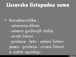Sumski ekosistem | PPT