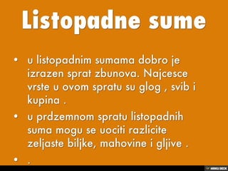 Sumski ekosistem | PPT