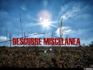 Presentation MISCELANEA | PDF