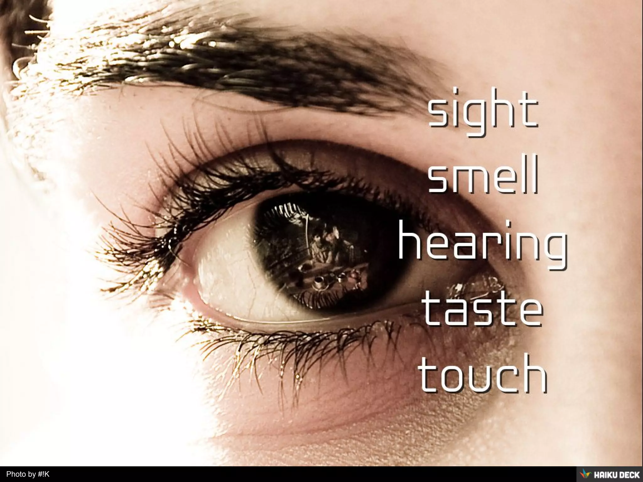 Sense Perception in relation to the Natural Sciences | PDF