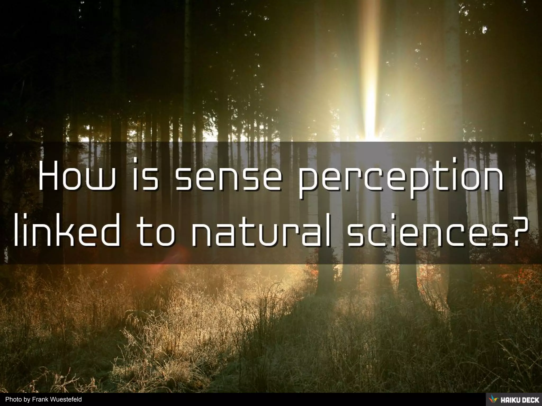 Sense Perception in relation to the Natural Sciences | PDF
