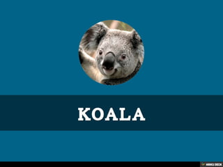 KOALA | PPT