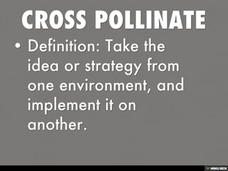 8 Cs' OF CREATIVITY | PDF