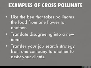 8 Cs' OF CREATIVITY | PDF