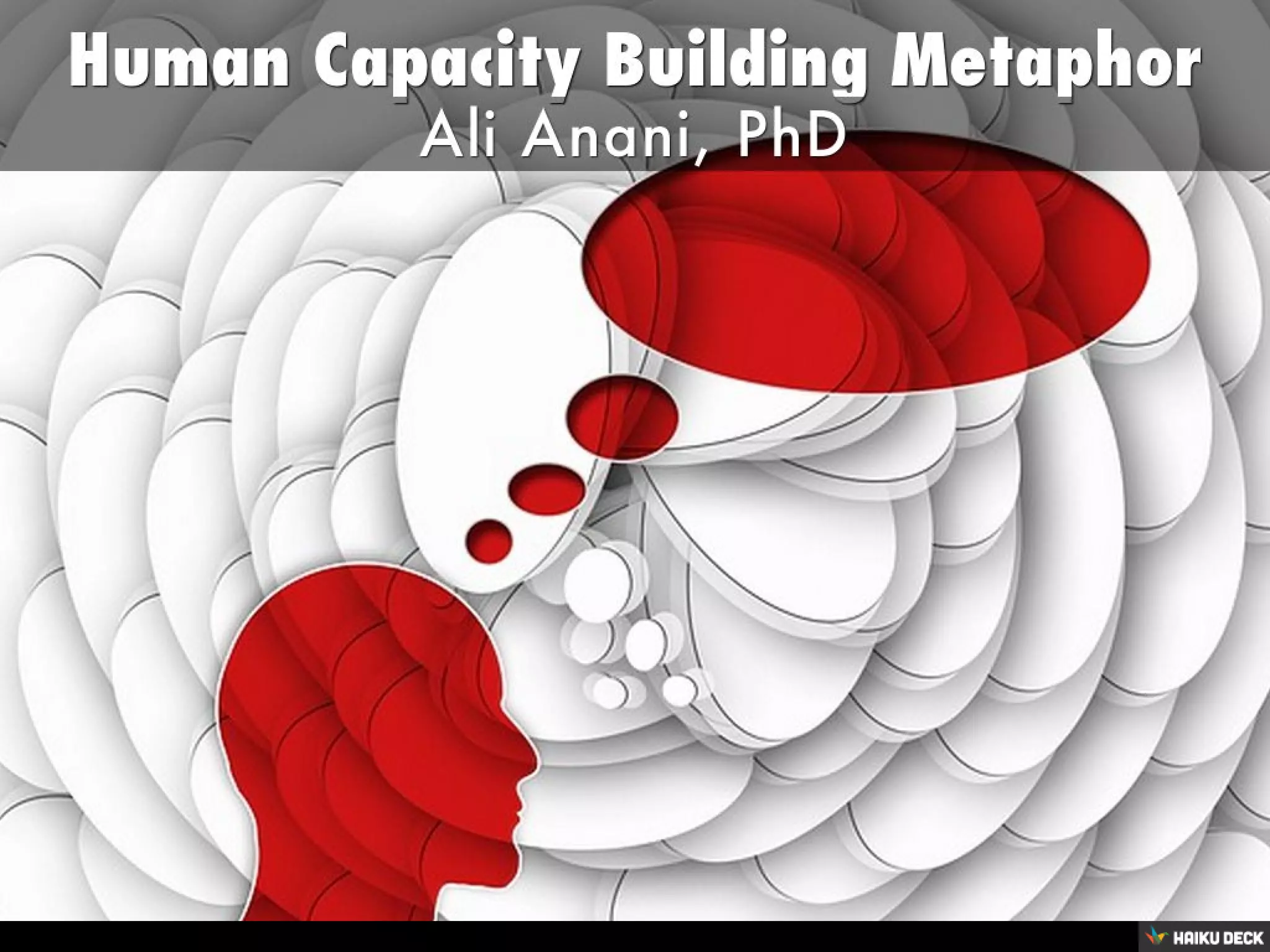 Human Capacity Building Metaphor | PDF
