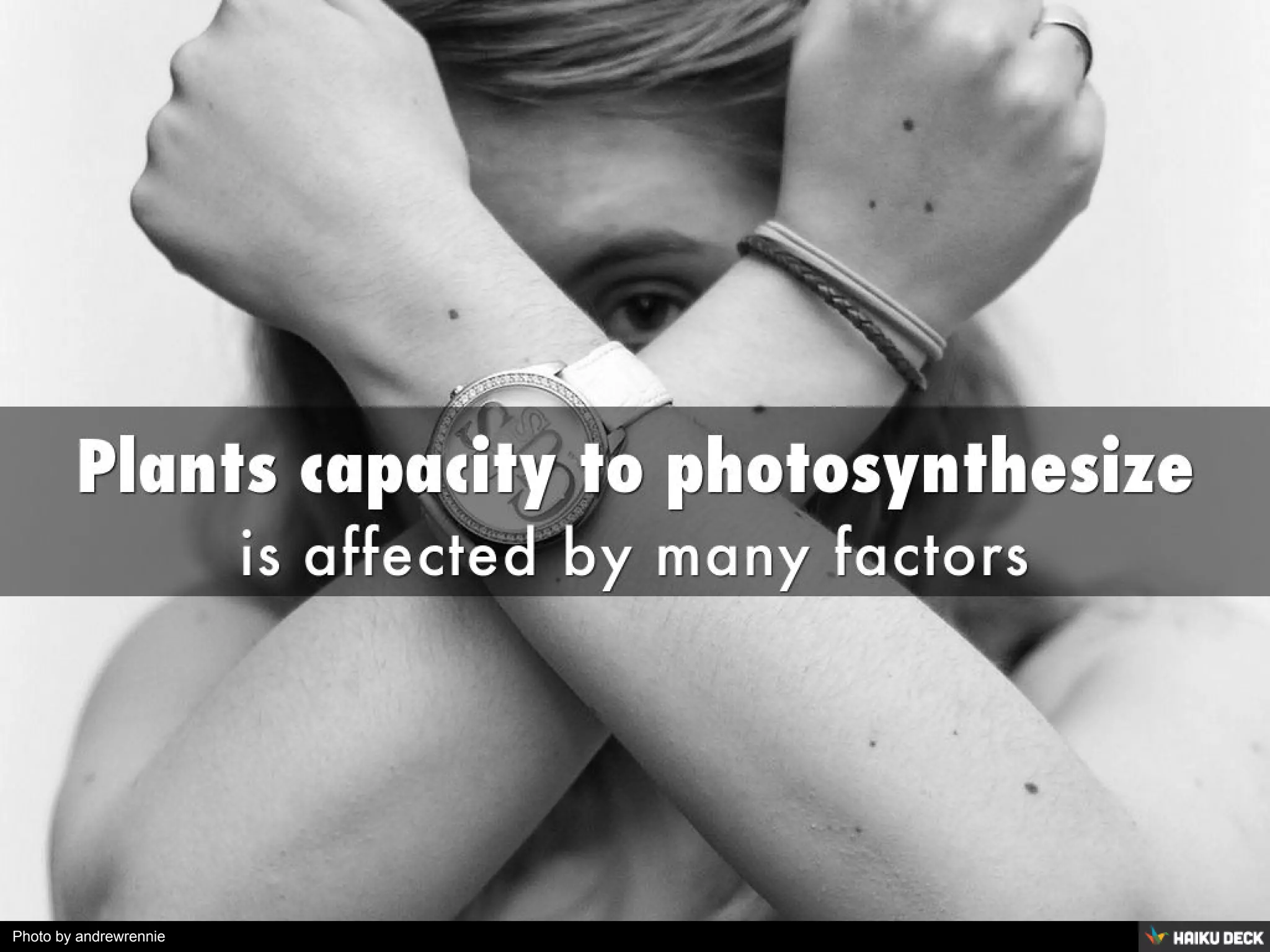 Human Capacity Building Metaphor | PDF