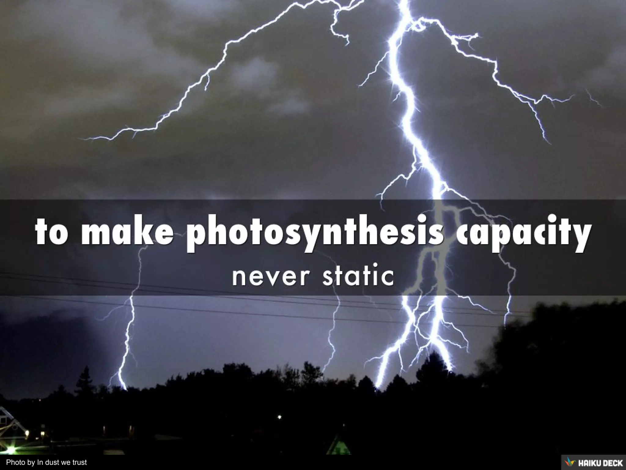 Human Capacity Building Metaphor | PDF