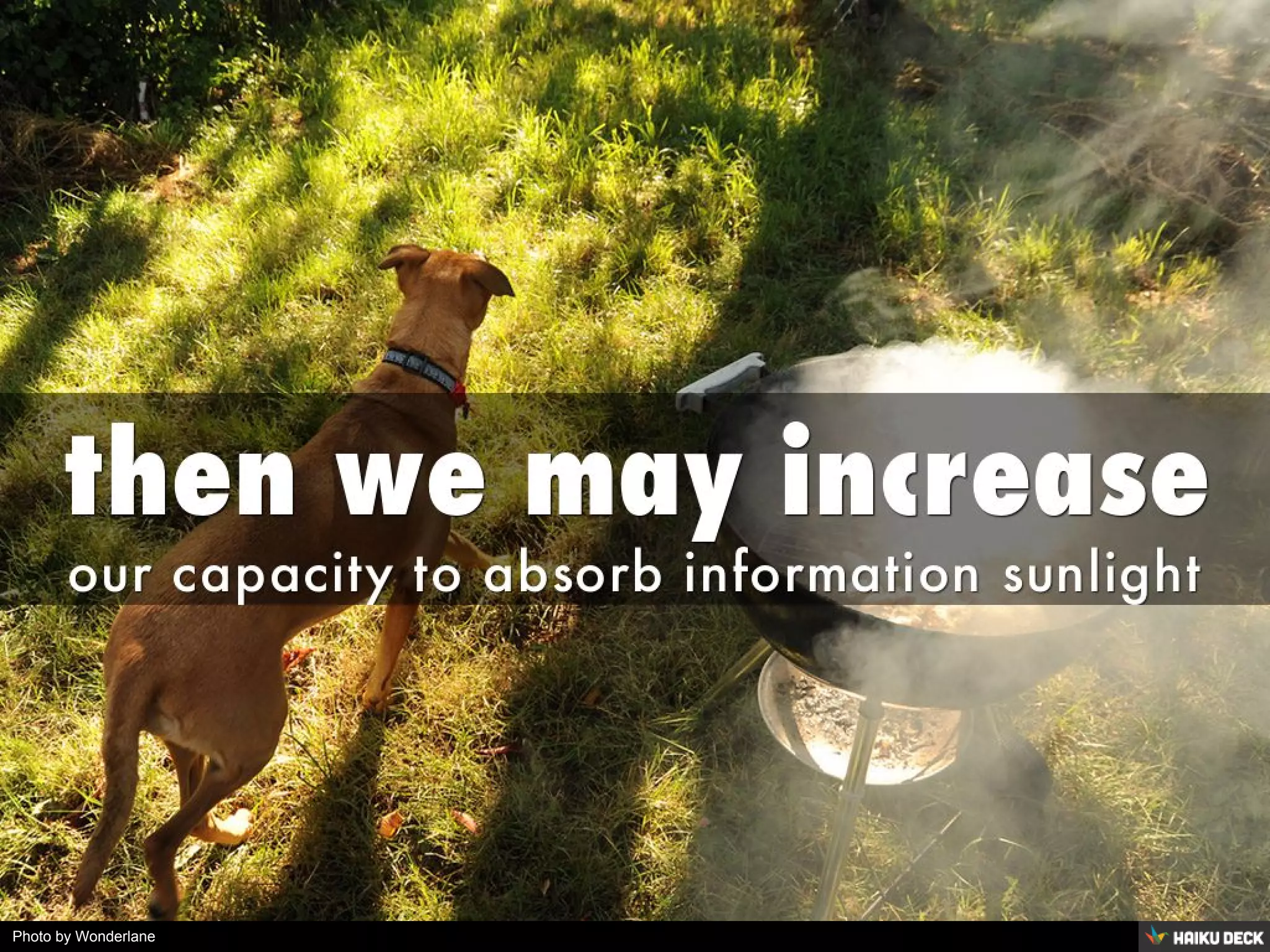 Human Capacity Building Metaphor | PDF