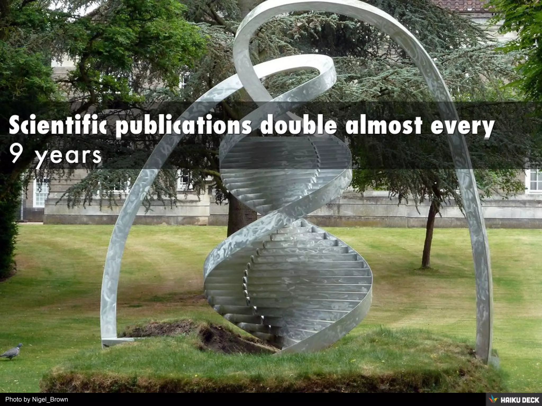 Human Capacity Building Metaphor | PDF