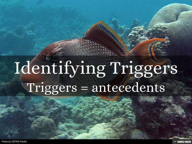 Causes of Challenging Behavior | PPT