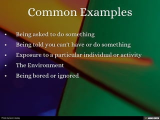 Causes of Challenging Behavior | PPT