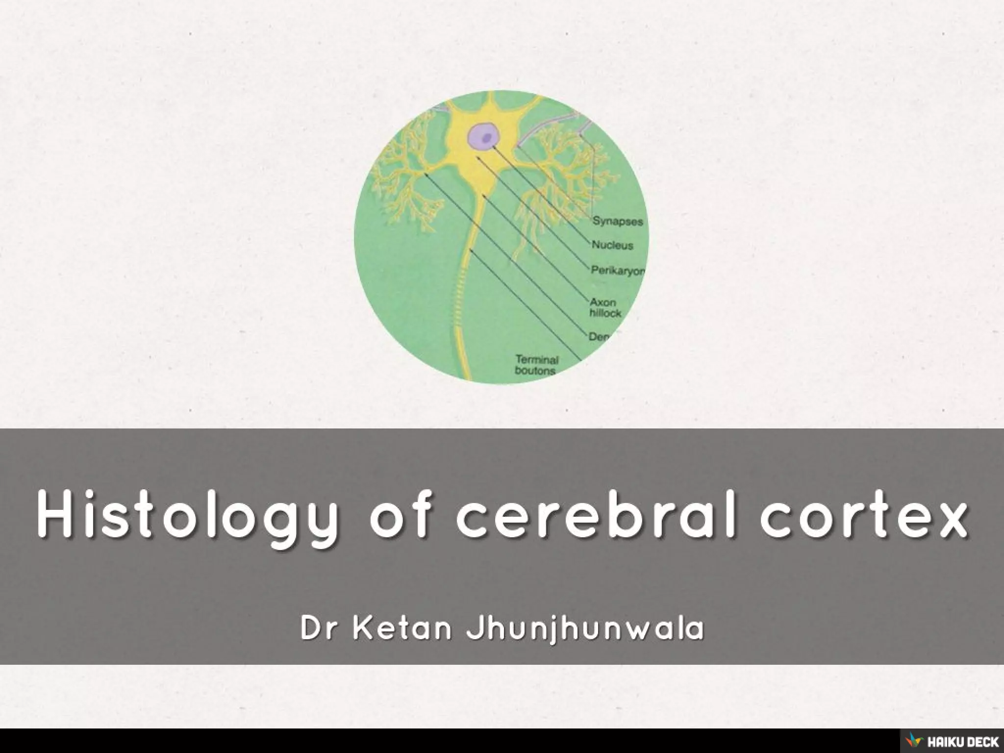 Histology of cerebral cortex | PPT