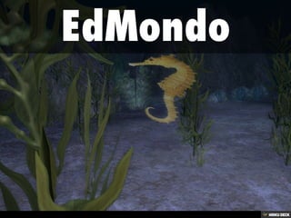 Mondo vs EdMondo | PDF