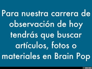 Carrera de Observación | PDF