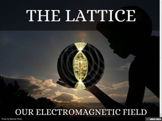 The Lattice | PPT