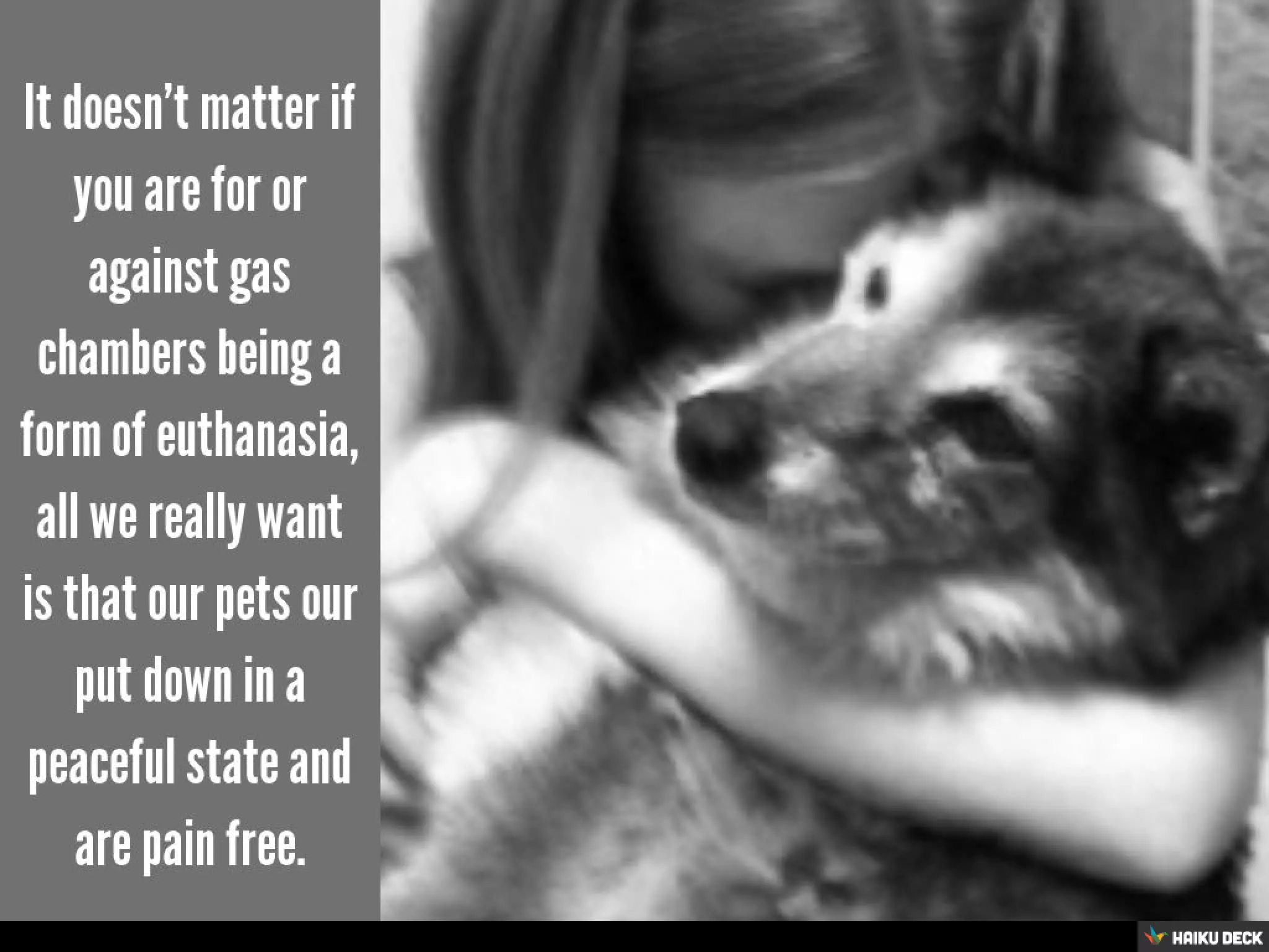 Animal Euthanasia by gassing | PDF