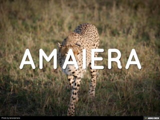 GEPARDOA | PDF