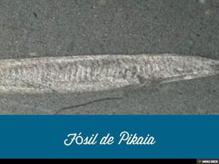 Pikaia | PDF