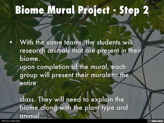 Biome Project | PDF