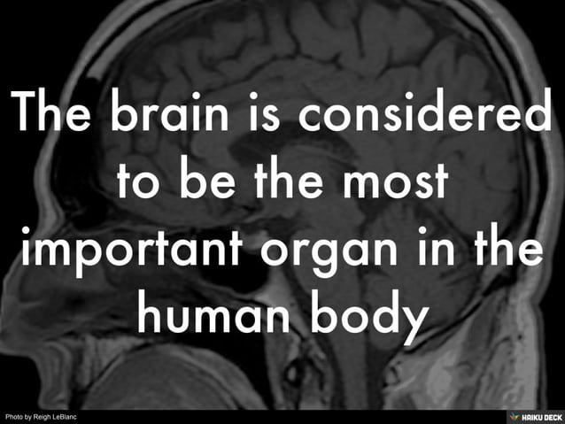 The Brain and immune system | PPT