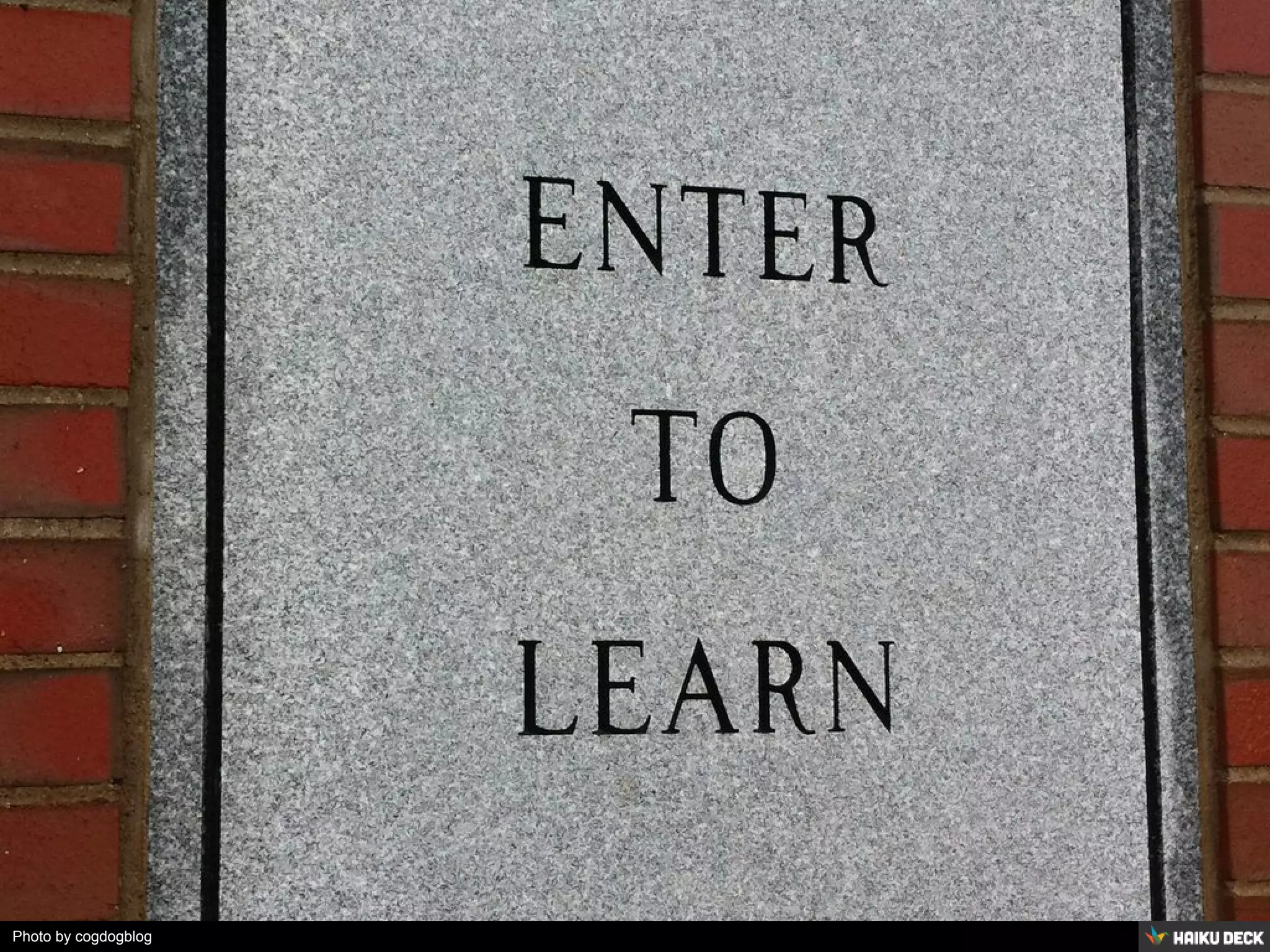 Tally Institute of Learning | PDF