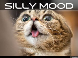 10 Funniest Cats with Many Moods | PDF