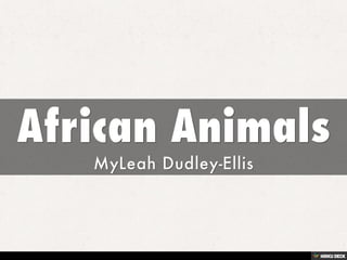 African Animals | PPT