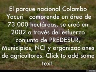 Parque Nacional Yacuri | PDF