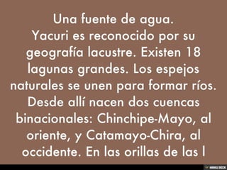 Parque Nacional Yacuri | PDF