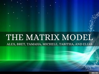 The Matrix Model | PDF