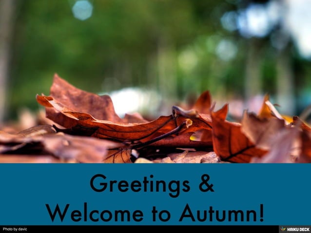 Juvenile Delinquency Prevention Programs | PDF