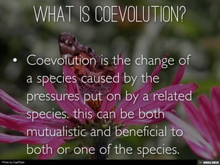Coevolution Definition