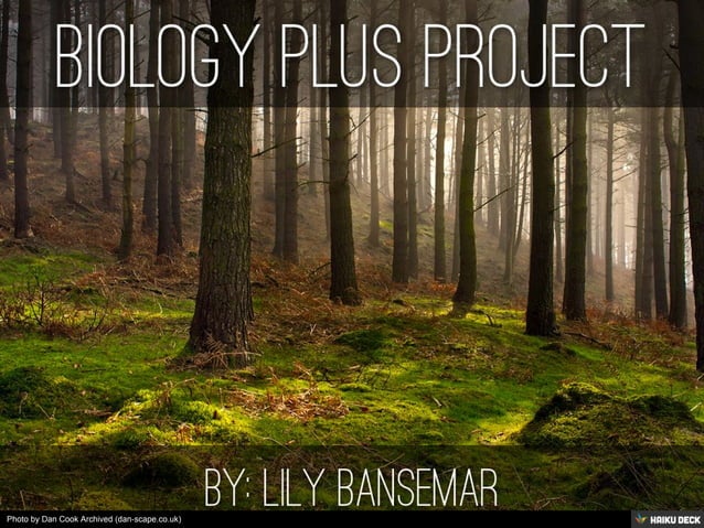 Biology Plus Project | PDF