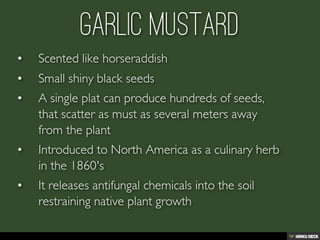 Biology Plus Project | PDF