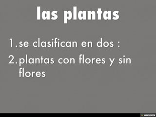 las plantas : | PDF