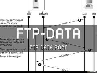 The 20 Common ports | PPT