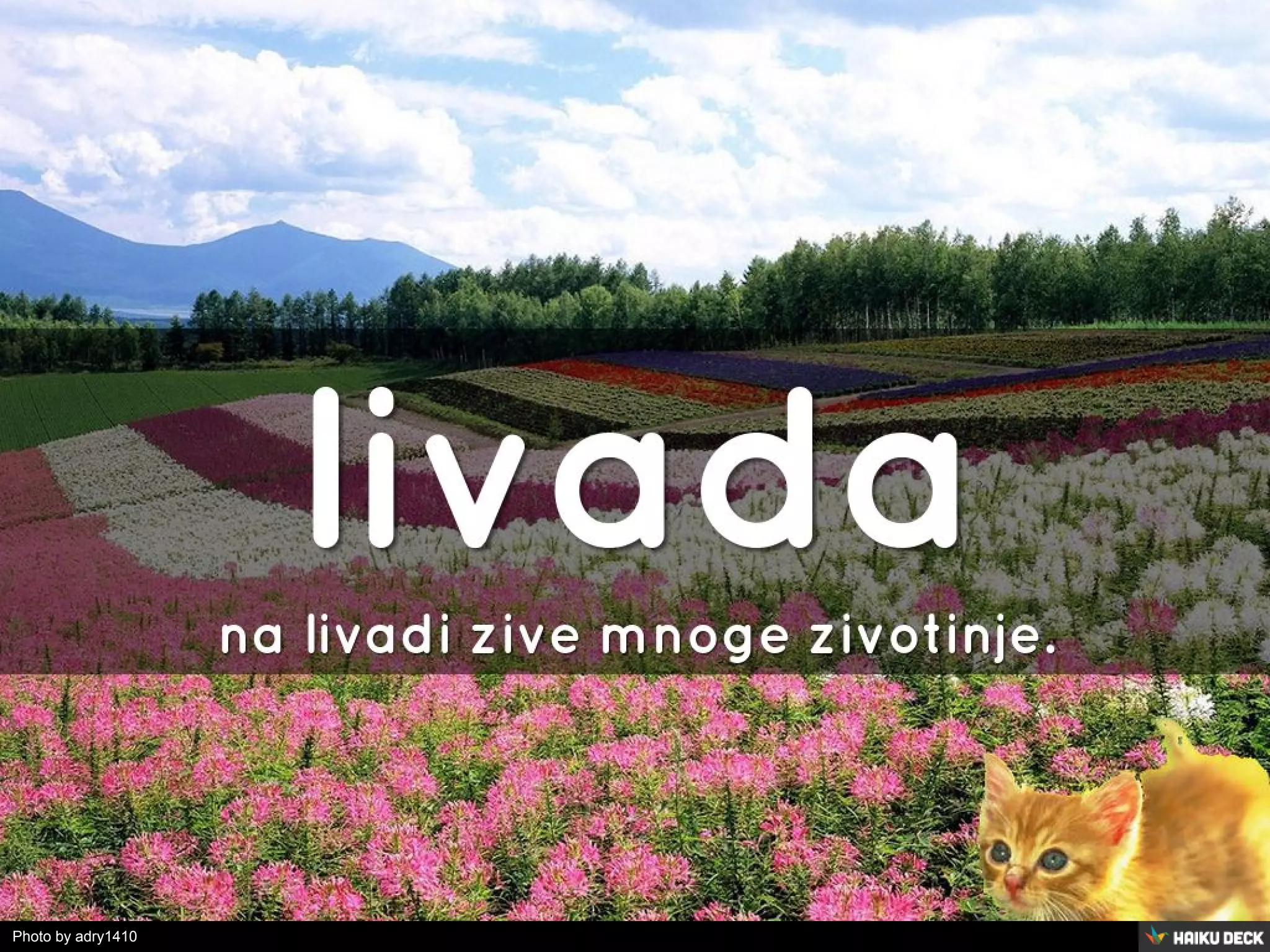 zivotna zajednica livade | PDF