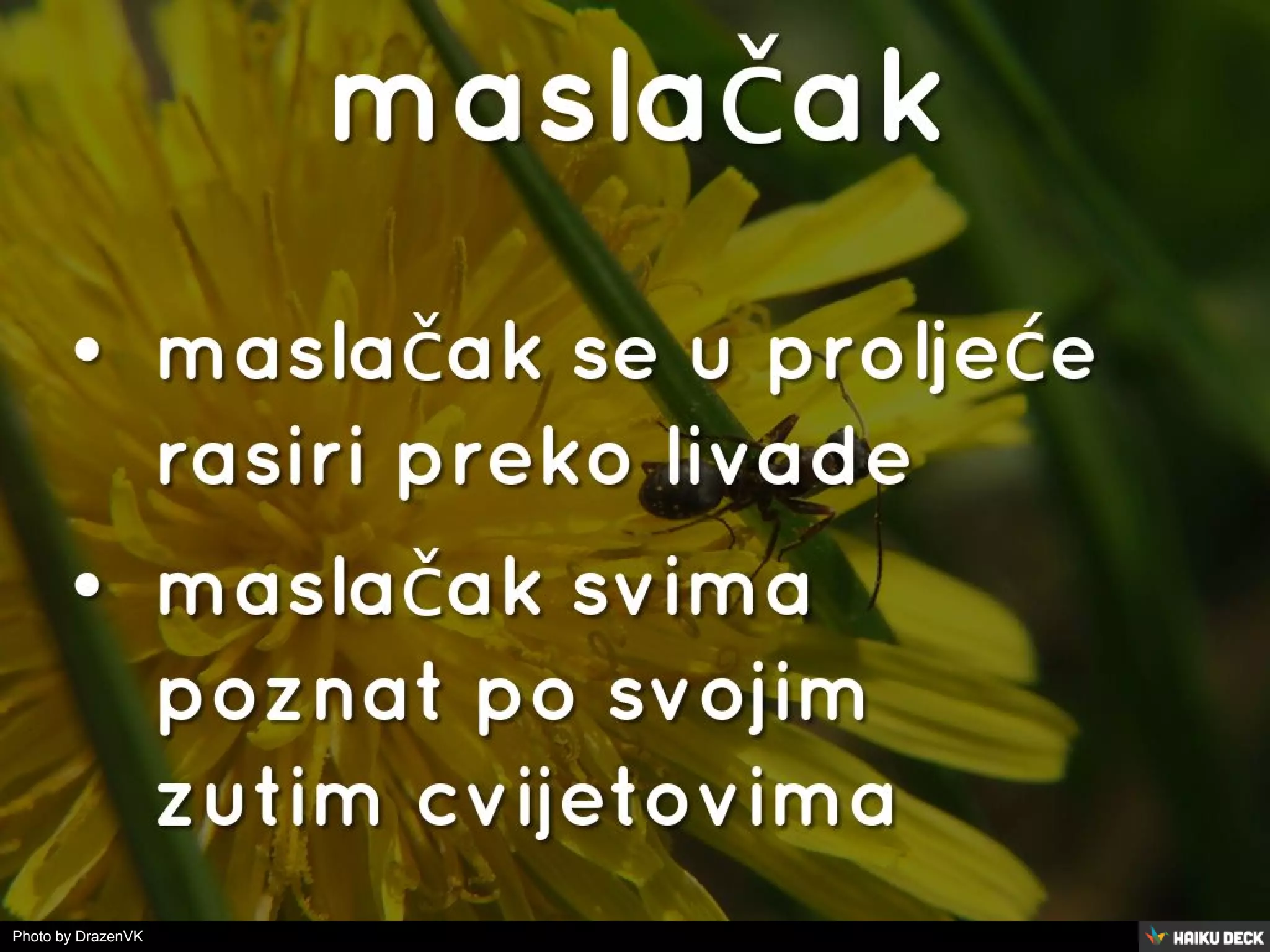 zivotna zajednica livade | PDF