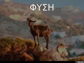 ΚΩΣ ,ΤΟ ΝΗΣΙ ΤΟΥ ΗΛΙΟΥ | PDF