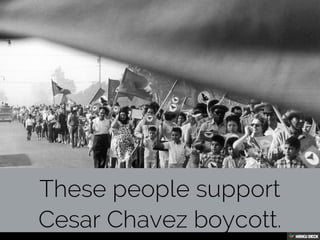 Cesar chavez | PPT