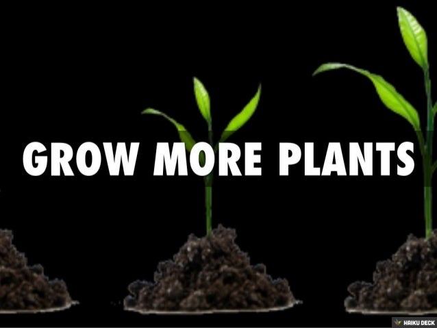 GROW MORE PLANTS
