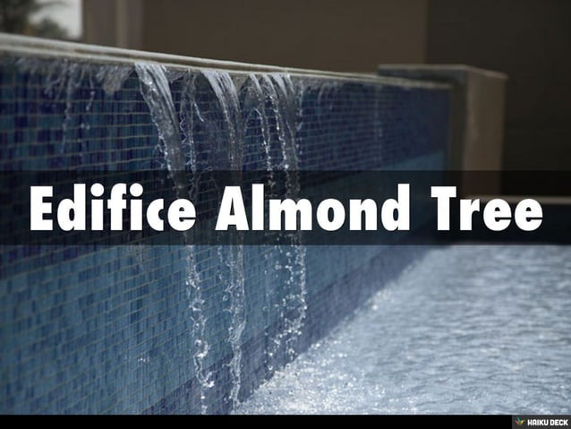 Edifice Almond Tree | PPT