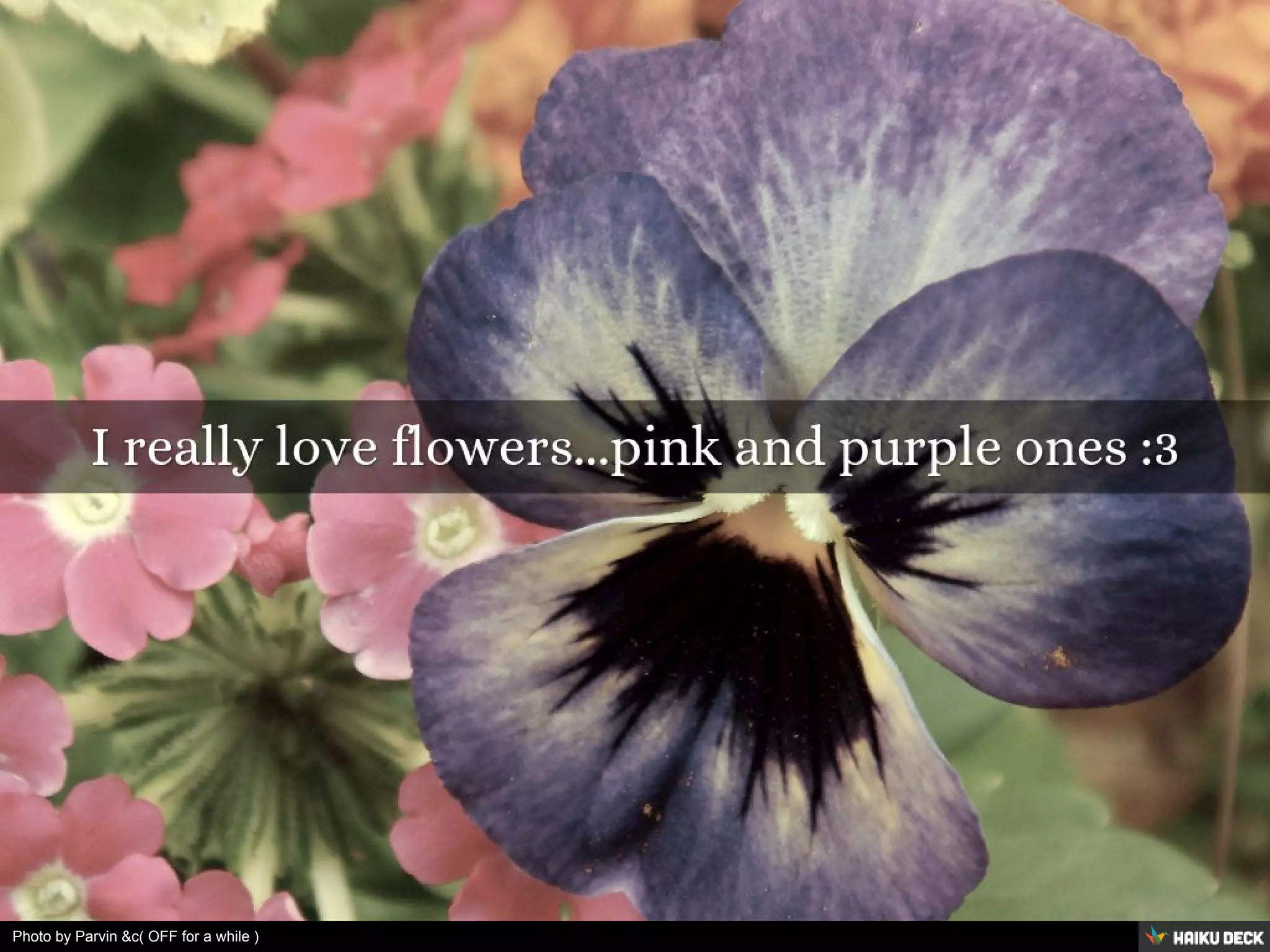 Things that I like :) | PPT