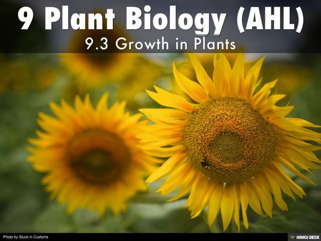 9 Plant Biology (AHL) | PPT
