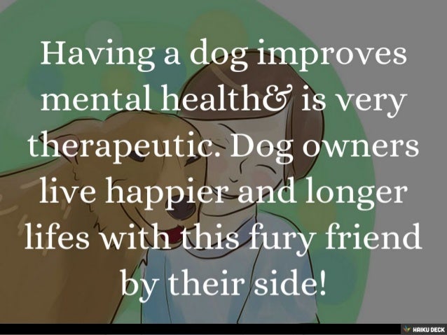 Why we should get a dog