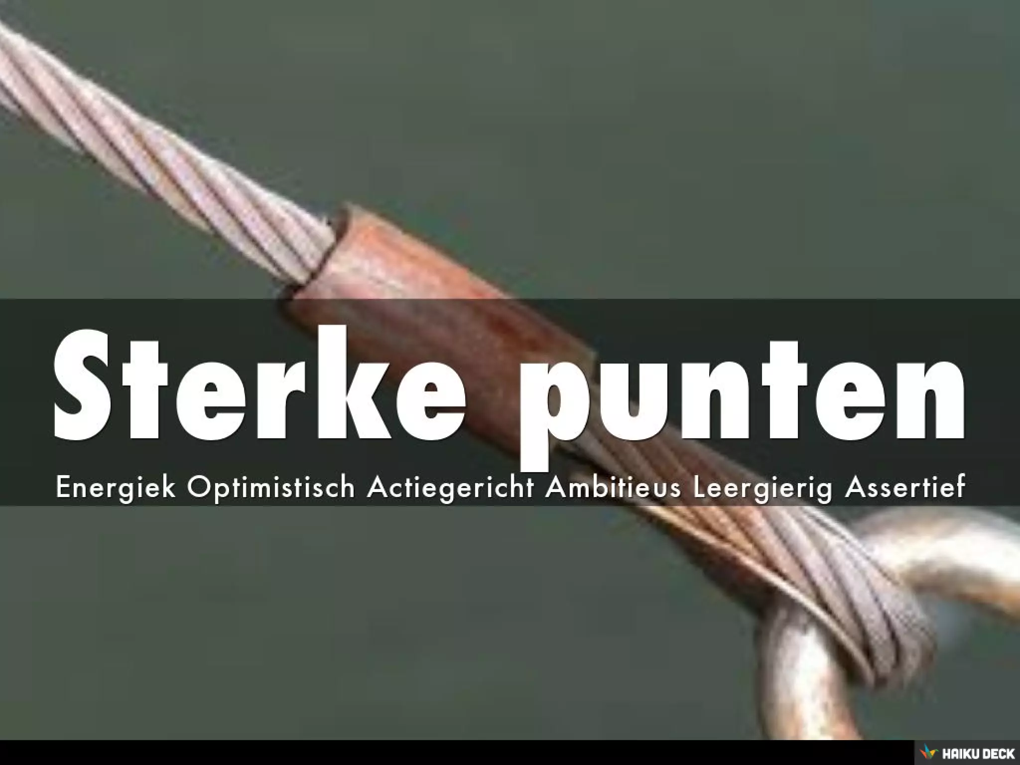 Persoonlijk ontwikkelingsplan | PDF