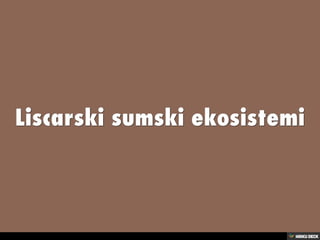 Sumski ekosistem | PPT