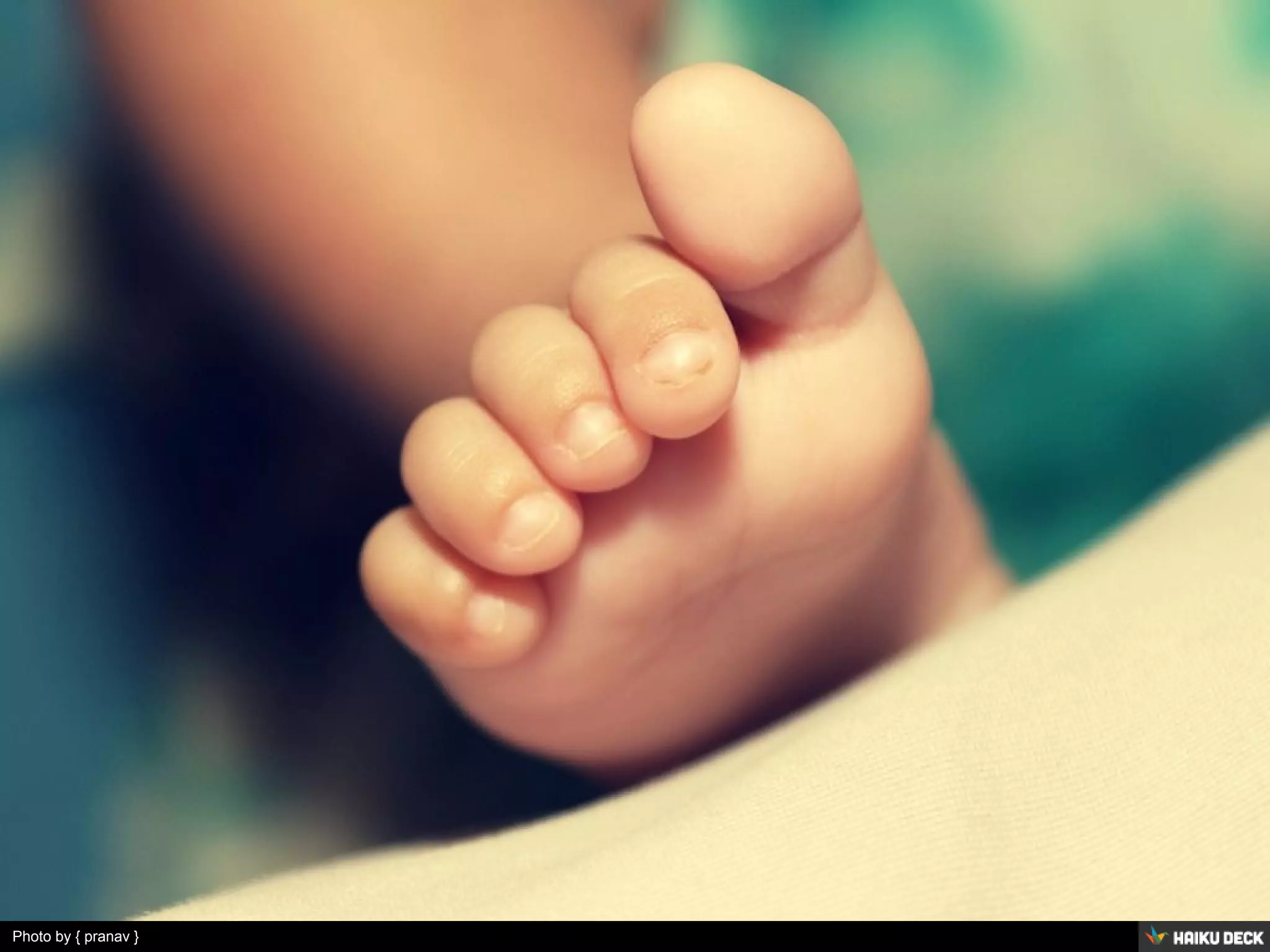 Untitled Presentation | PPT